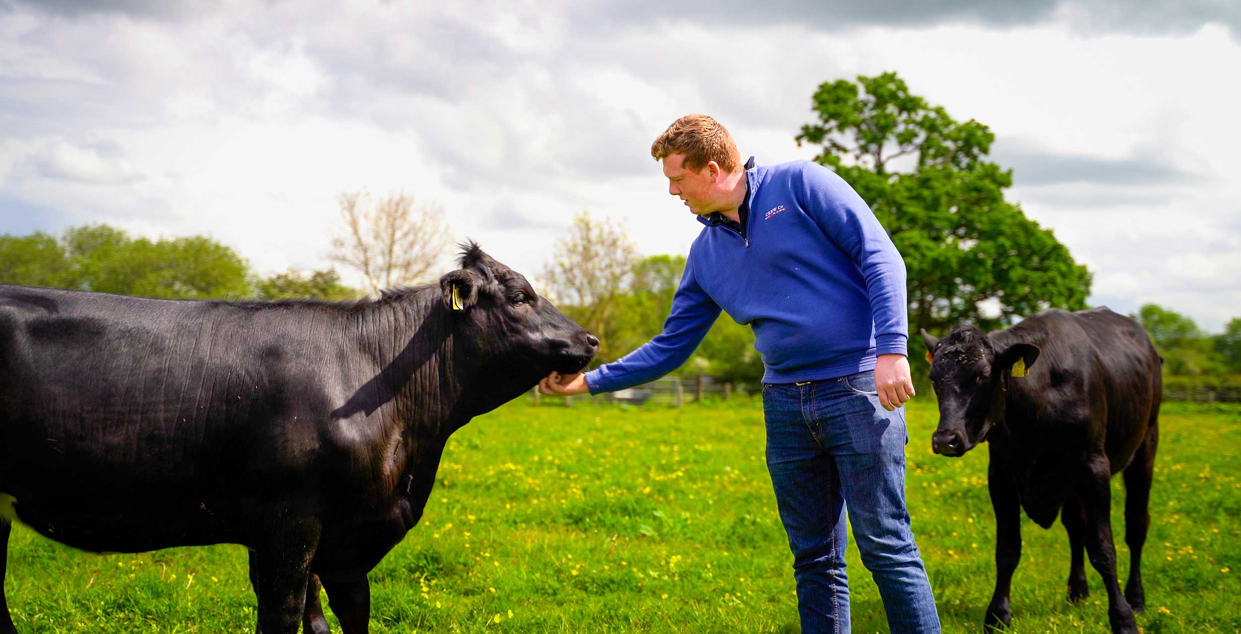 Our News | Pickstock Telford Ltd | Quality Beef Products