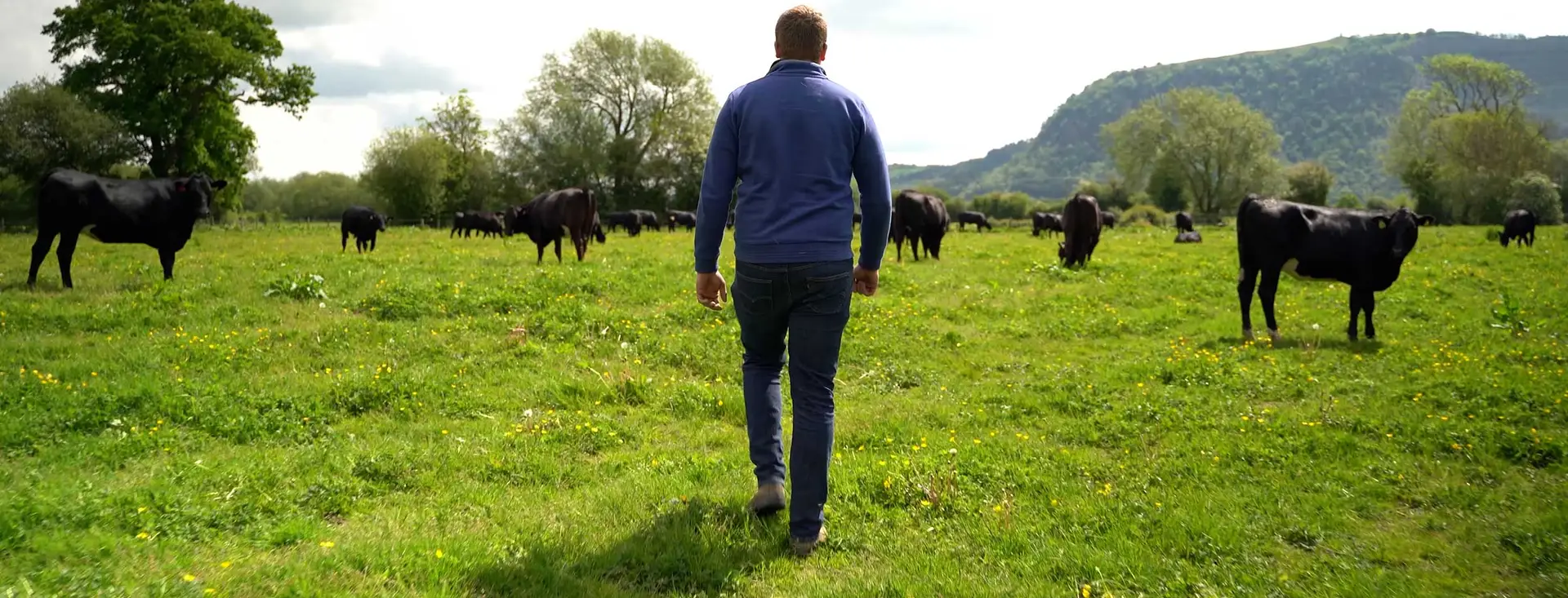 Sustainability | Pickstock Telford Ltd | Quality Beef Products
