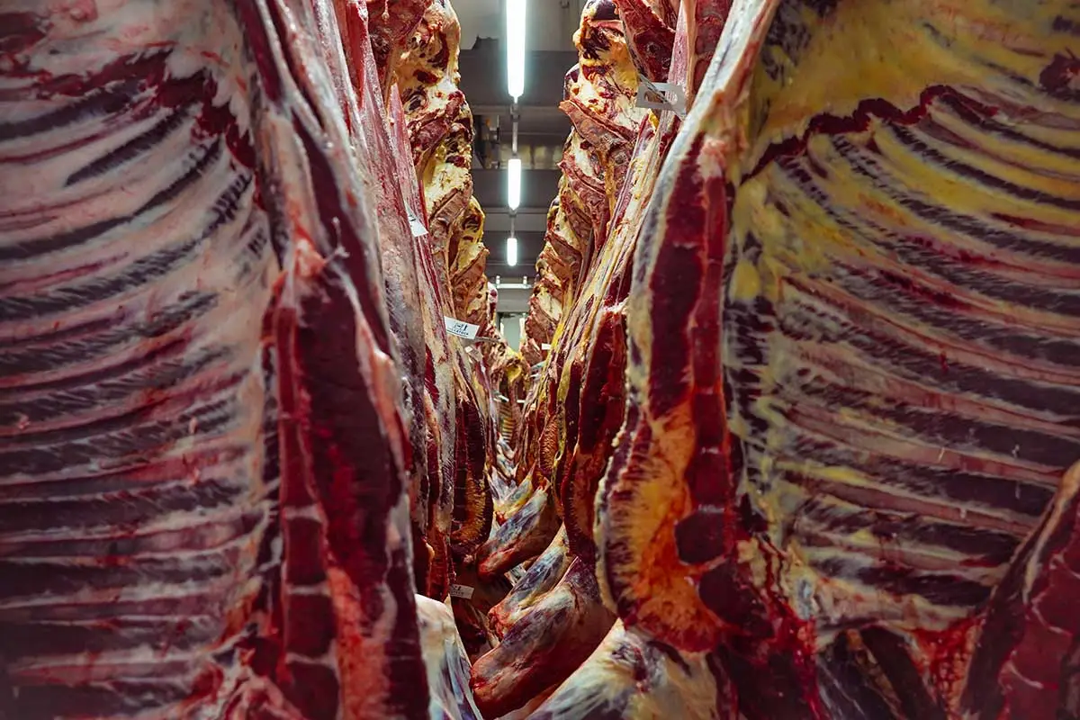 Our Products | Pickstock Telford Ltd | Quality Beef Products