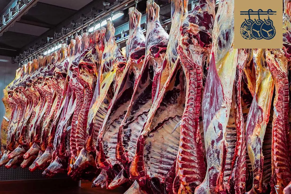Our Business | Pickstock Telford Ltd | Quality Beef Products
